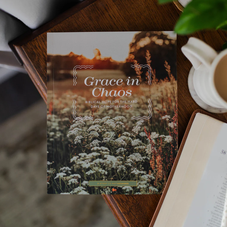 Grace In Chaos - Biblical Hope For The Hard Days Of Motherhood - Bible ...