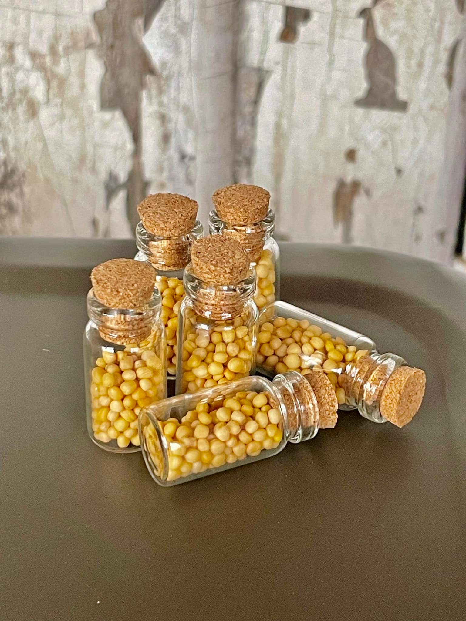Mini Mustard Seed Jars - Mustard Seeds - Travel Mustard Seeds - Christ ...